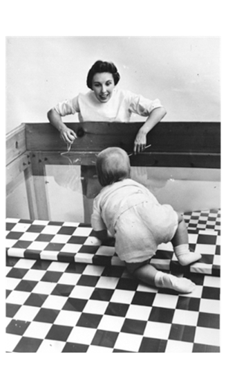 What My Baby See | Bright Minds Processing